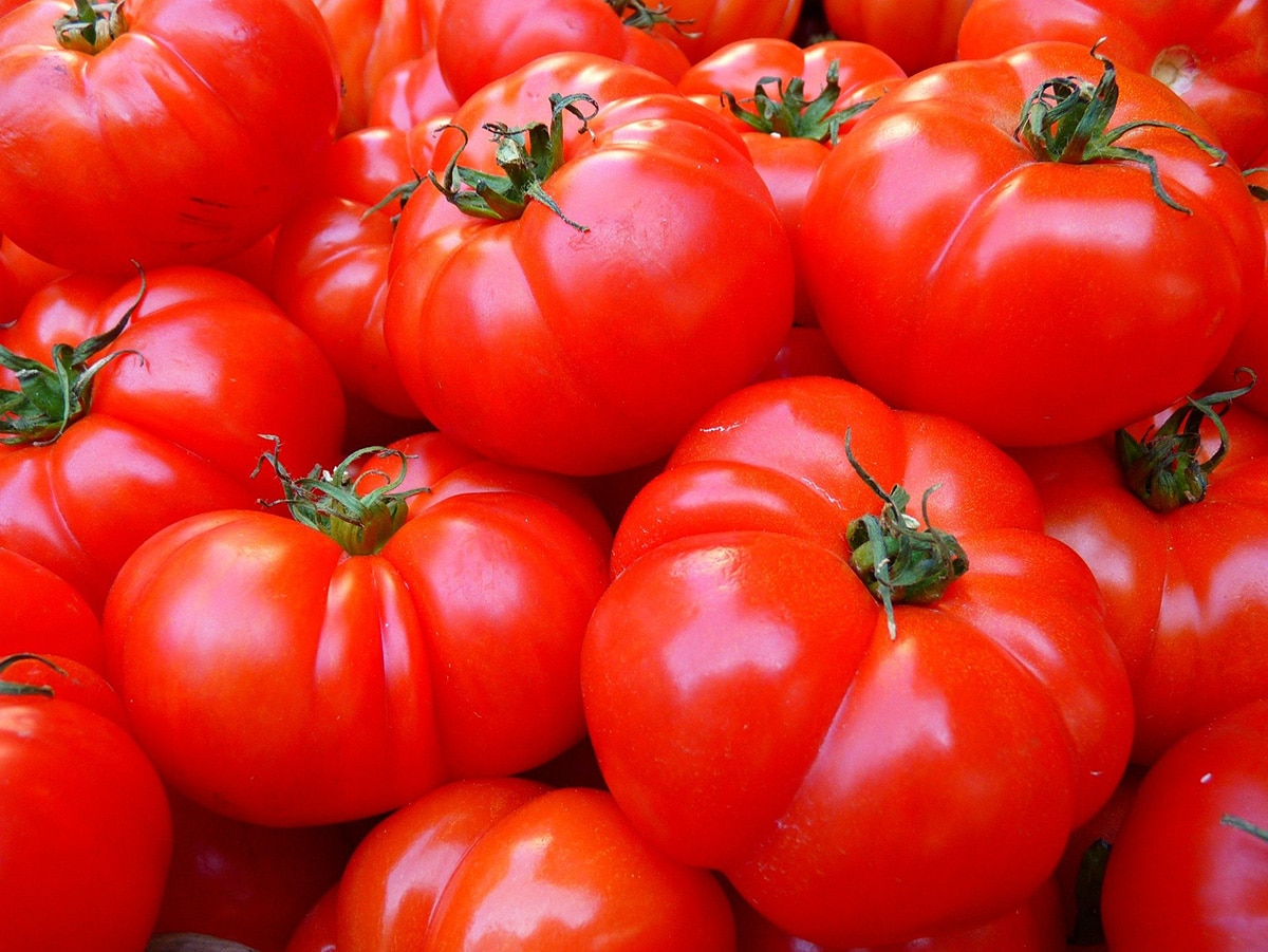 Gout and Tomatoes - URICAH Australia
